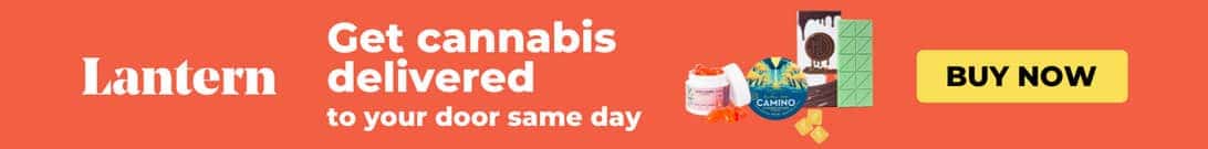 Durban Strain Guide
